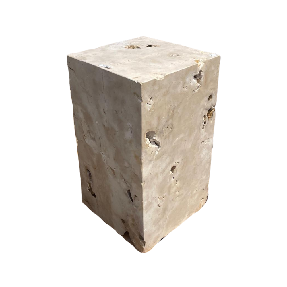 808281 – Indus Design