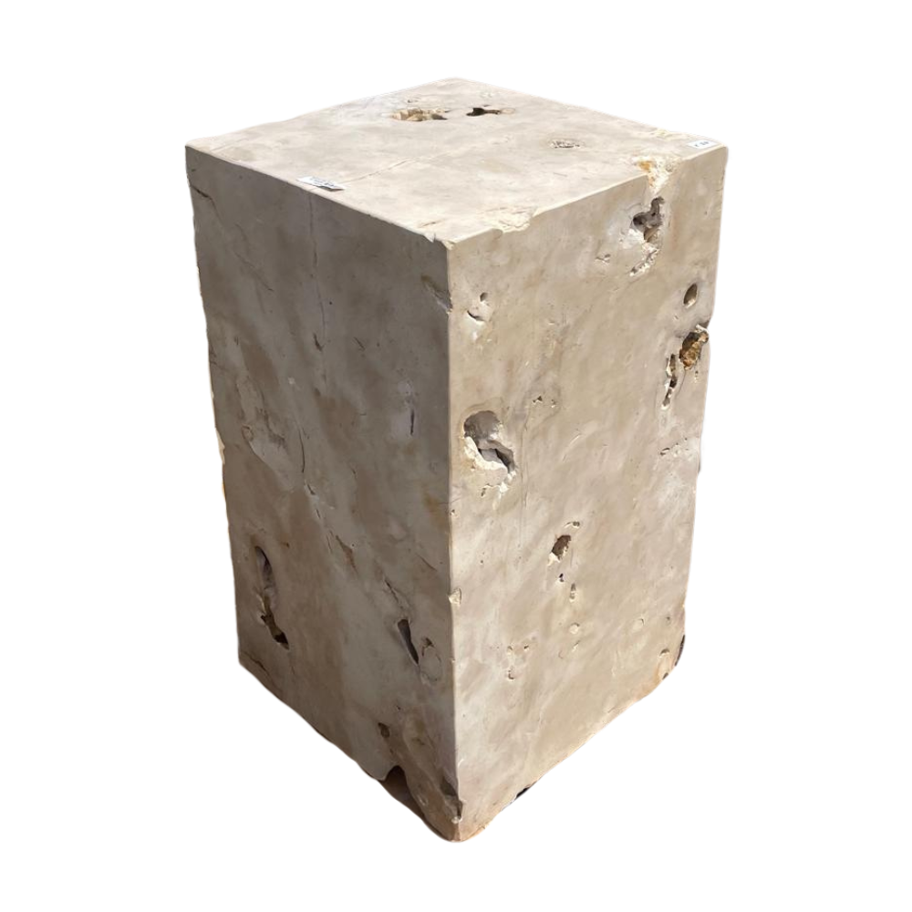 808282 – Indus Design